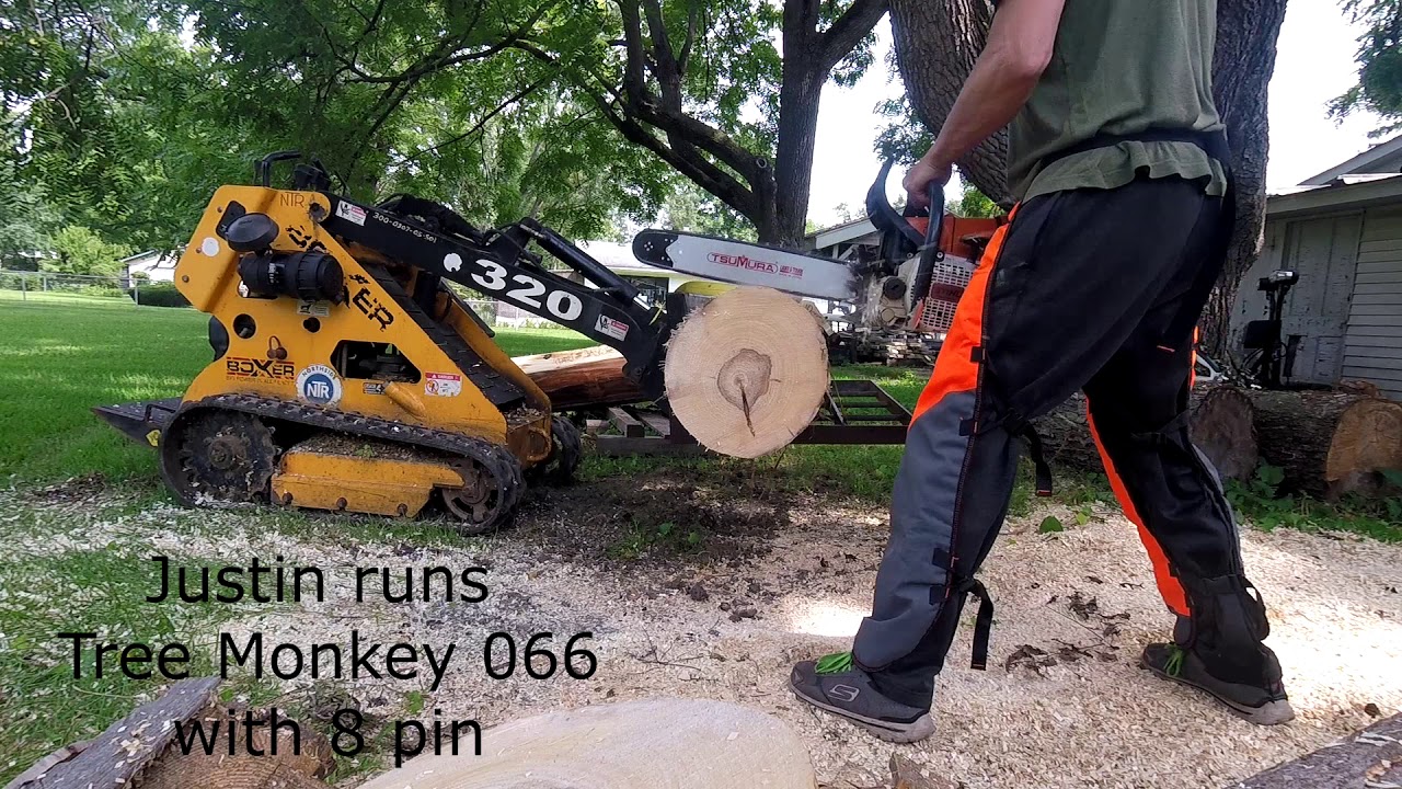 Tree Monkey 066 and ECSaws 066 August 11th - YouTube