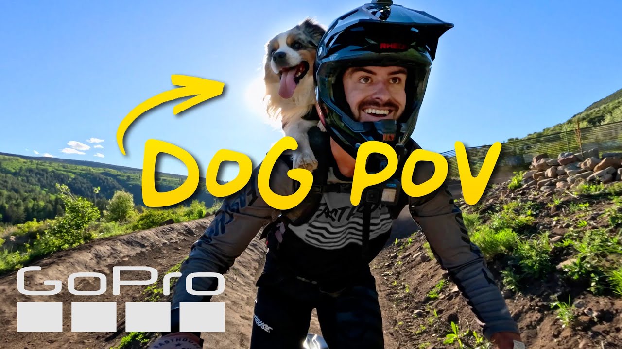 GoPro Mountain Games | A Dog's Perspective - YouTube