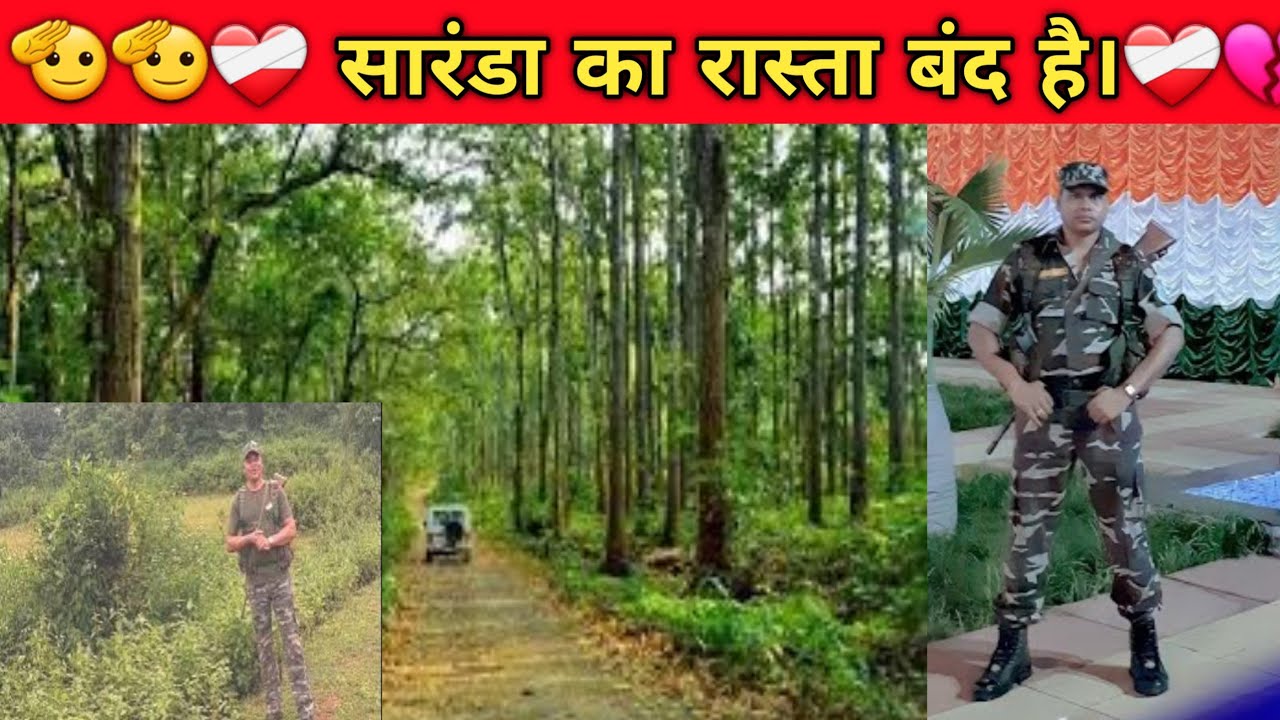 Saranda Jungle।।Saranda best place।।Saranda ka Jungle - YouTube