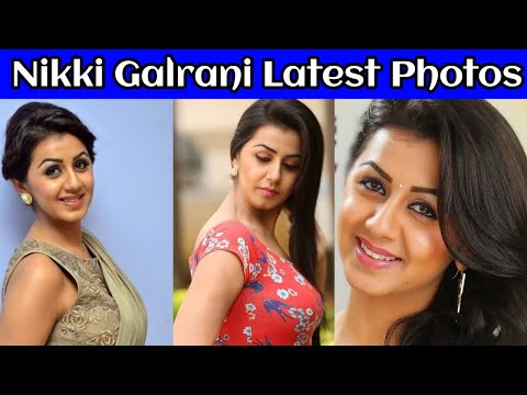 Nikki Galrani Latest Photos | Cineday