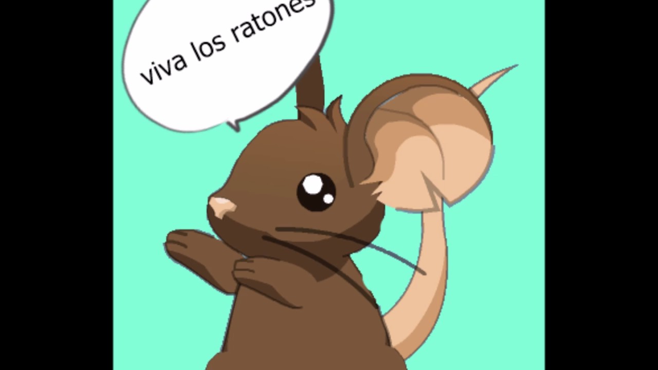 RATAS EN EL CONGRESO - YouTube