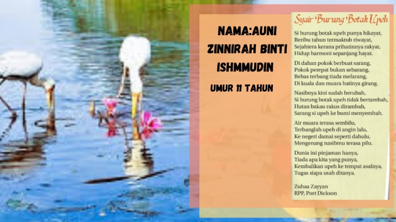 SYAIR SI BURUNG BOTAK UPEH IRAMA HIASAN (#jkknselangorku-# ...