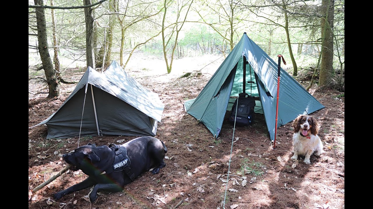 Bushcraft overnight wild camp - Tarp tent, French army F1 and dogs ...