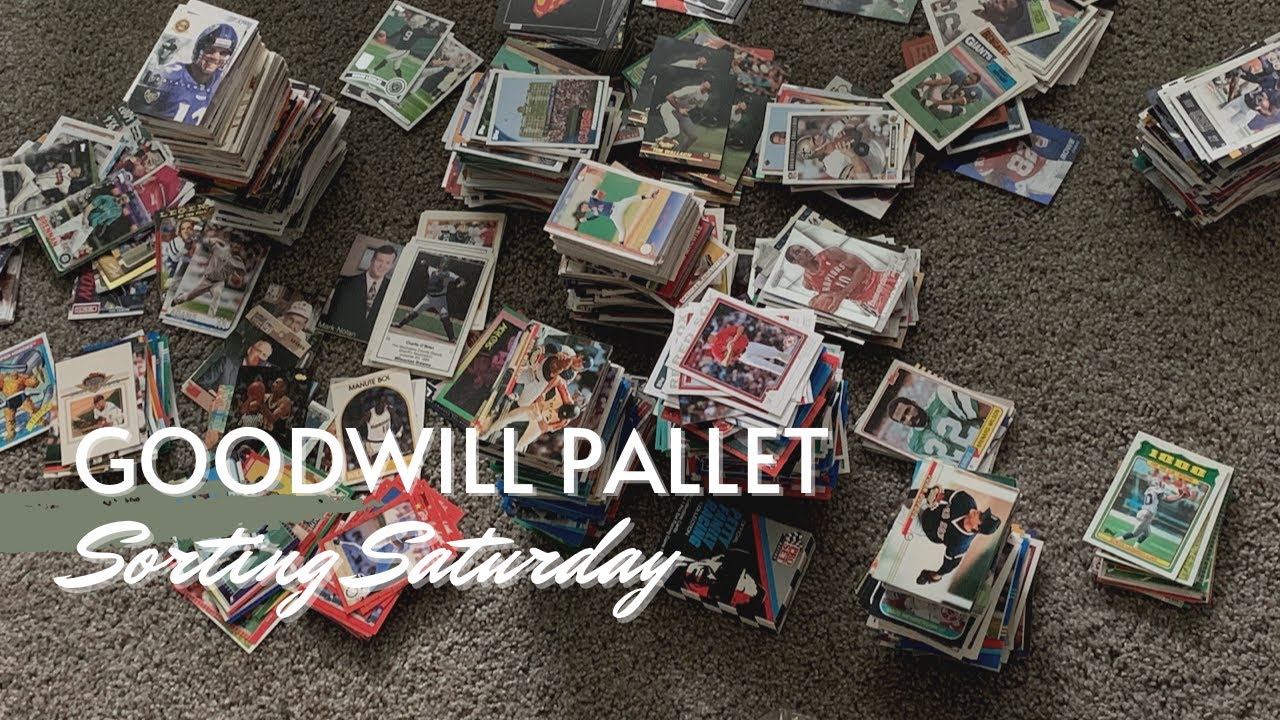 Goodwill Pallet Sorting Saturday - Hobby Evolution Episode 678 - YouTube