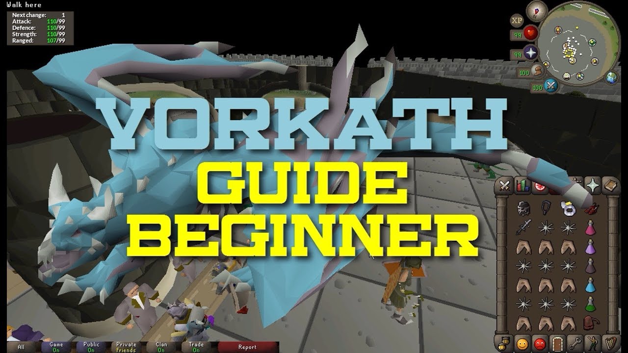 Vorkath Guide July 2018 (25+ kills hour | 3.5m gp/hr) " OSRS 2018 ...