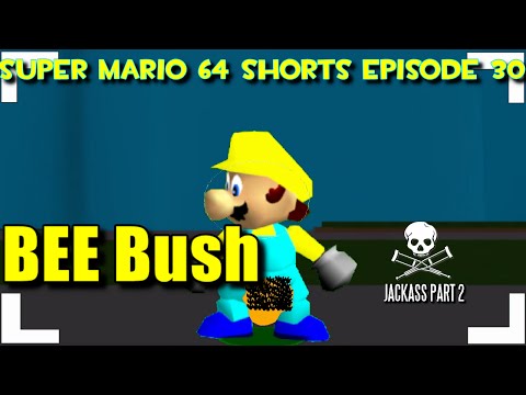 Super Mario 64 Shorts Episode 30 - Bee Bush