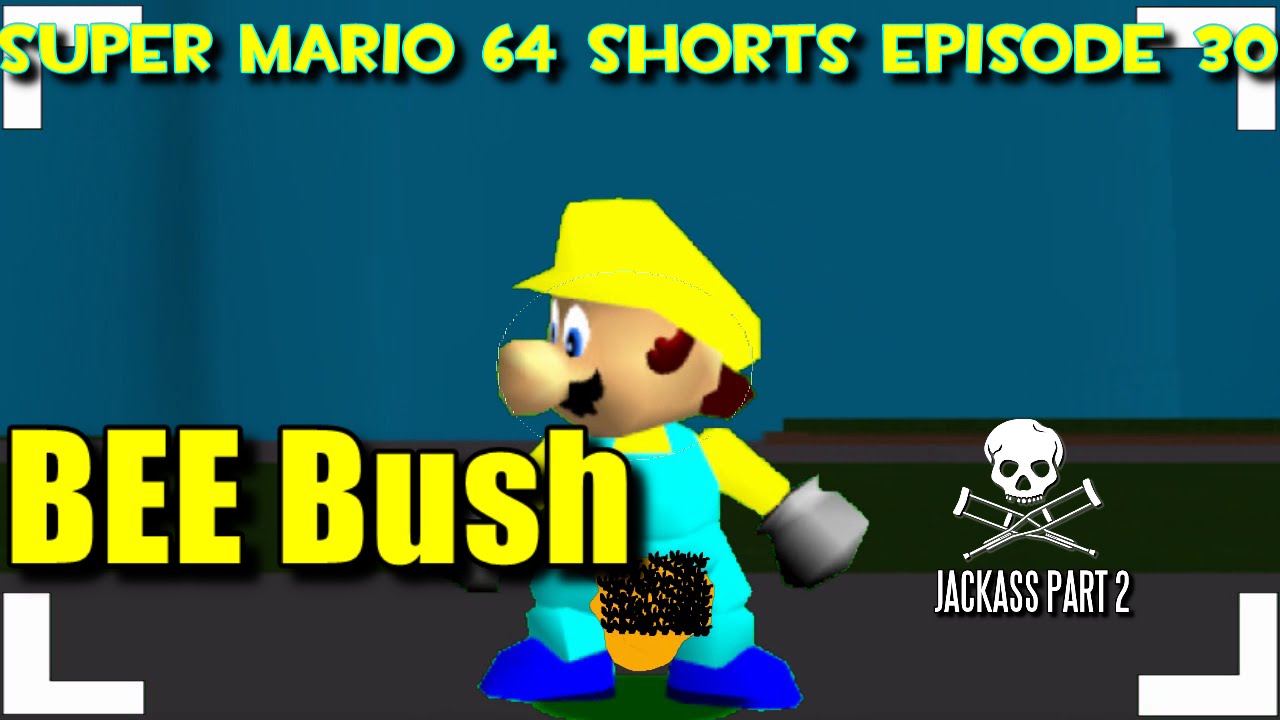 Super Mario 64 Shorts Episode 30 - Bee Bush - YouTube