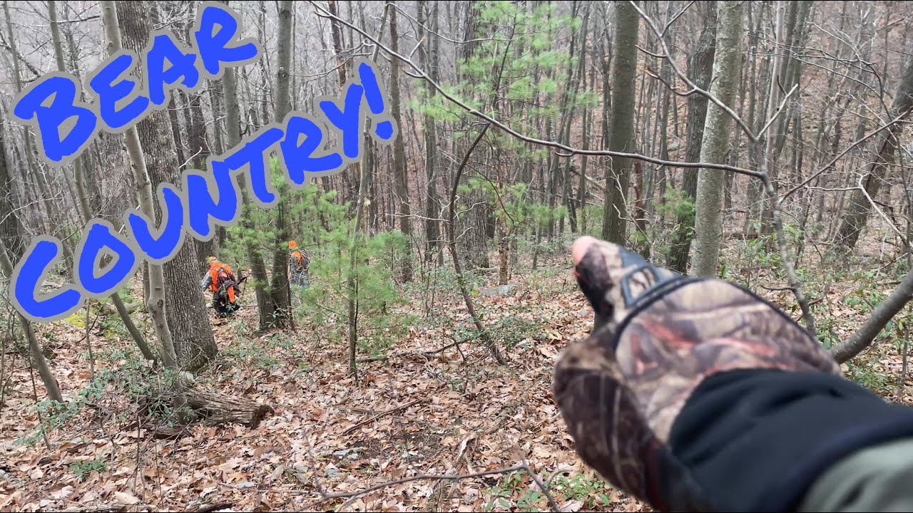 2020 Pennsylvania Rifle Bear Season | Doing Some Spot and Stalk Hunting ...