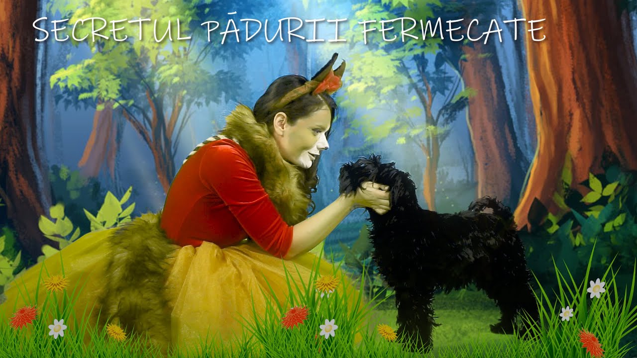 Secretul Padurii Fermecate - YouTube