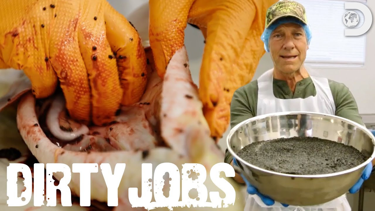 Mike Rowe Harvests Mississippi Caviar | Dirty Jobs - YouTube