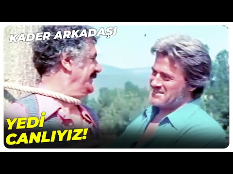 Kader Arkadaşı - İkimiz de Aynı Boydayız! | Cüneyt Arkın Eski Türk Filmi