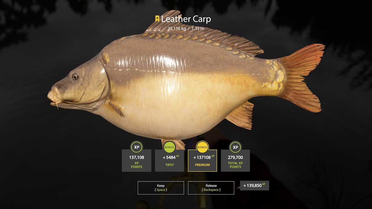 RF4 - Trophy Leather Carp - 35,156kg - YouTube
