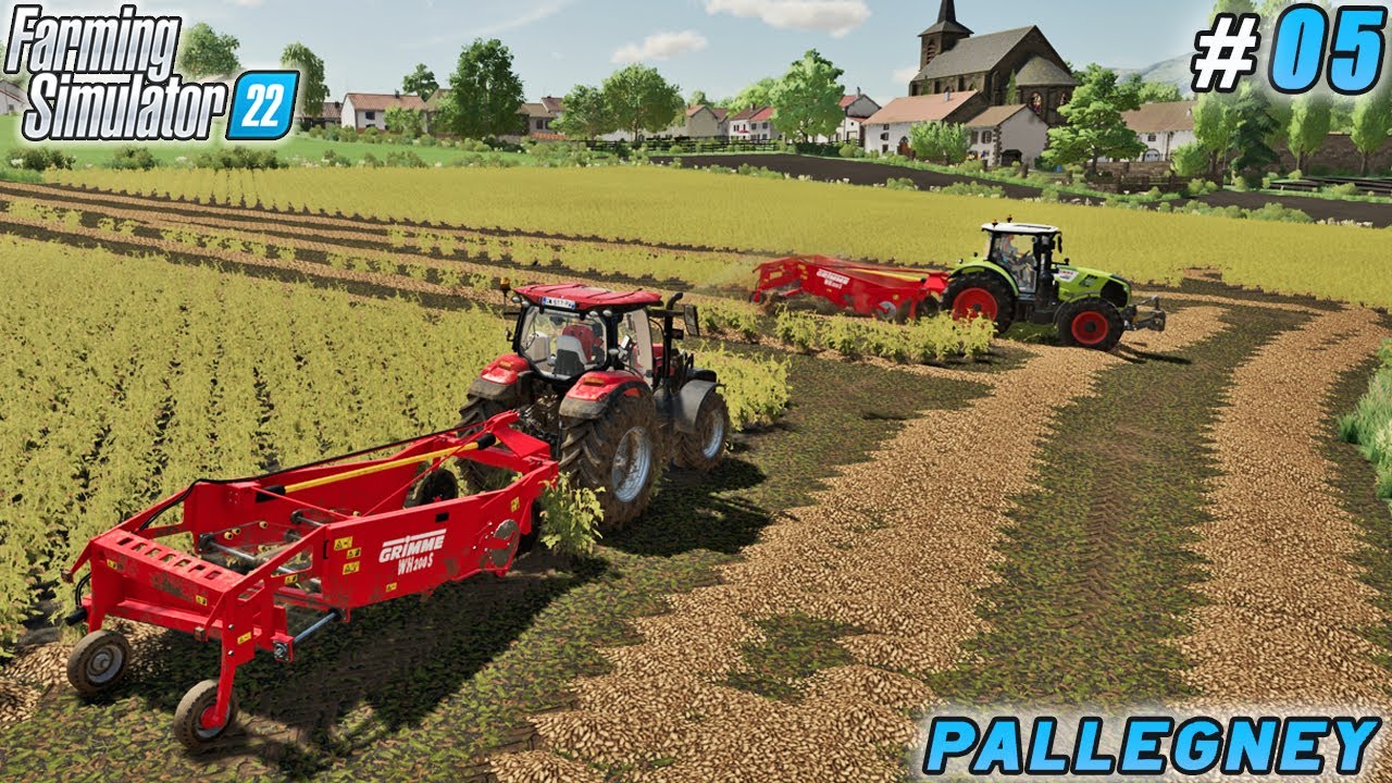 Potato Processing: Initiating a Fresh Chapter in Our Farm | Pallegney ...