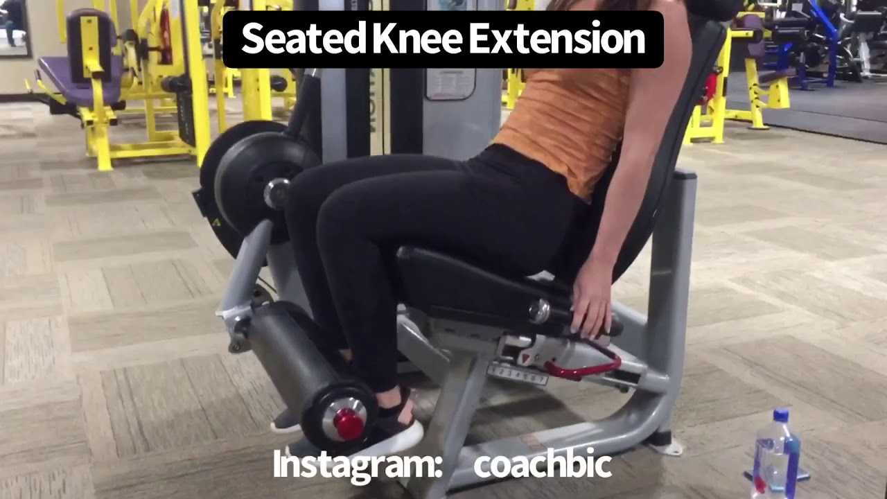 Seated Knee Extension - YouTube