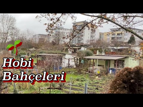 Hobi Bahçeleri / Bahçe Düzeni