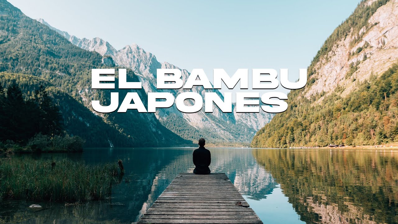 El Bambú Japonés Reflexiones de la Vida, Mensajes Positivos Para ...