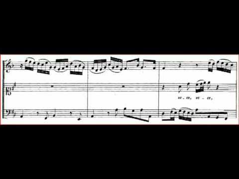 J.S. BACH ~ Magnificat: Quia Respexit - Omnes Generationes BWV 243 - YouTube Music