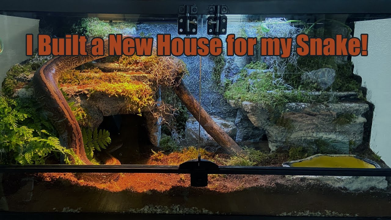 I Made a New House for my Snake! - YouTube