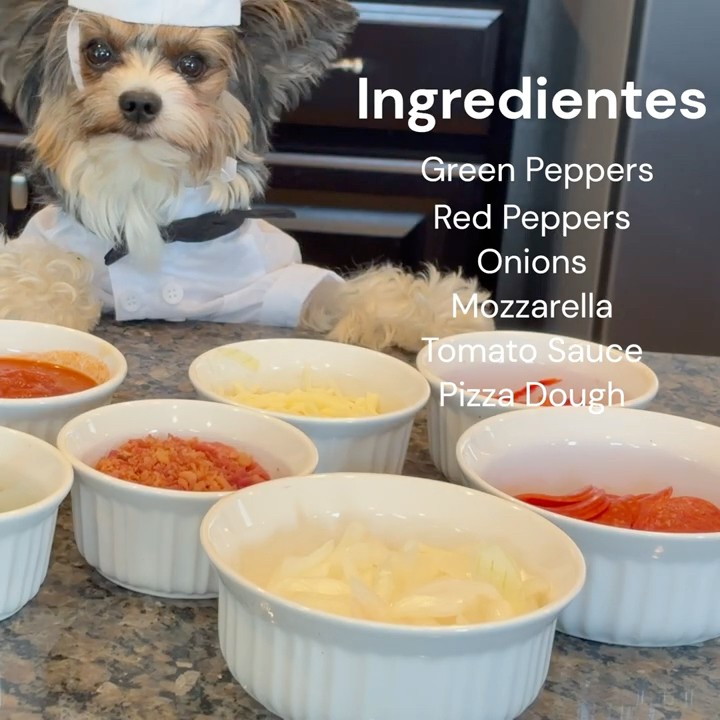 Pizza-Making Pup Takes Over the Kitchen 🍕 | Adorable Dog Short - YouTube