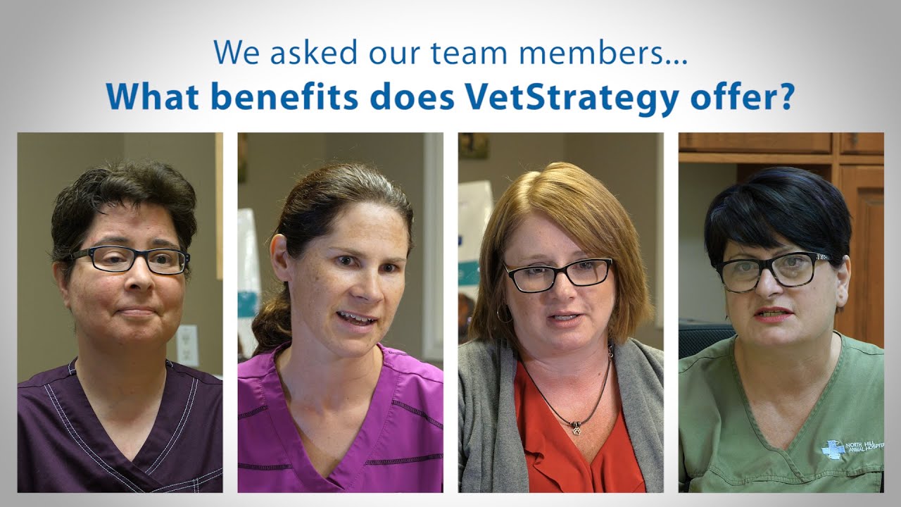 What benefits does VetStrategy offer? - YouTube