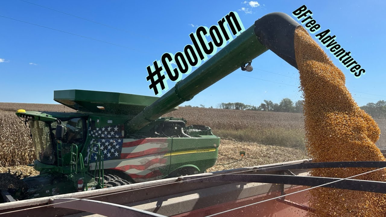 Day 5 of Harvest 2023- Combining Corn & Shearing Bolts - YouTube