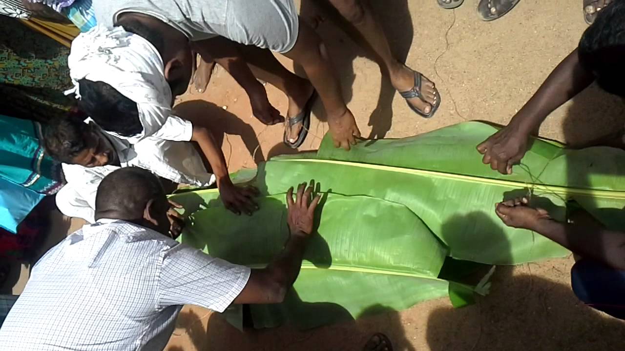 Banana-leaf Therapy Demo - YouTube