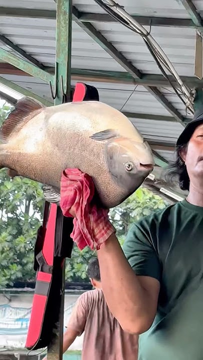 LOMBA MANCING IKAN BAWAL 😘 - YouTube