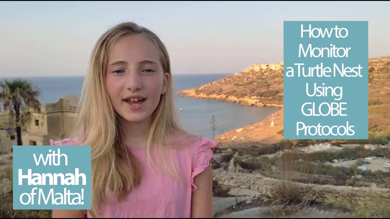 How to Monitor a Turtle Nest Using GLOBE Protocols with Hannah of Malta! - YouTube