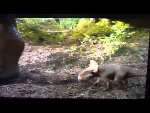Dinosaur poop - YouTube