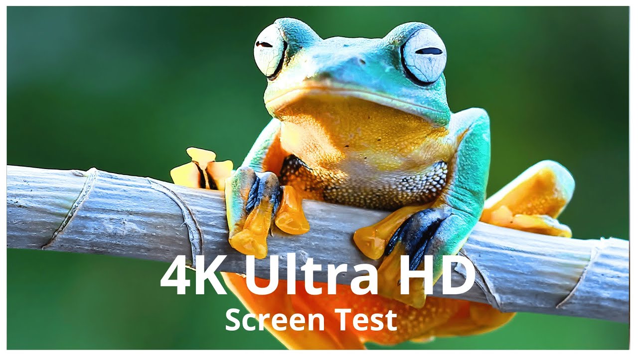 🌍 4K Ultra HD Screen Test - Experience Visual Brilliance Like Never ...