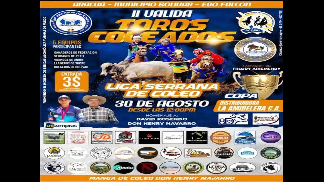 ll VALIDA TOROS COLEADOS LIGA SERRANA DE COLEO - YouTube