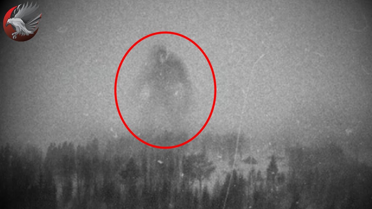 Are Trolls Real? | Unsolved Mysteries - YouTube