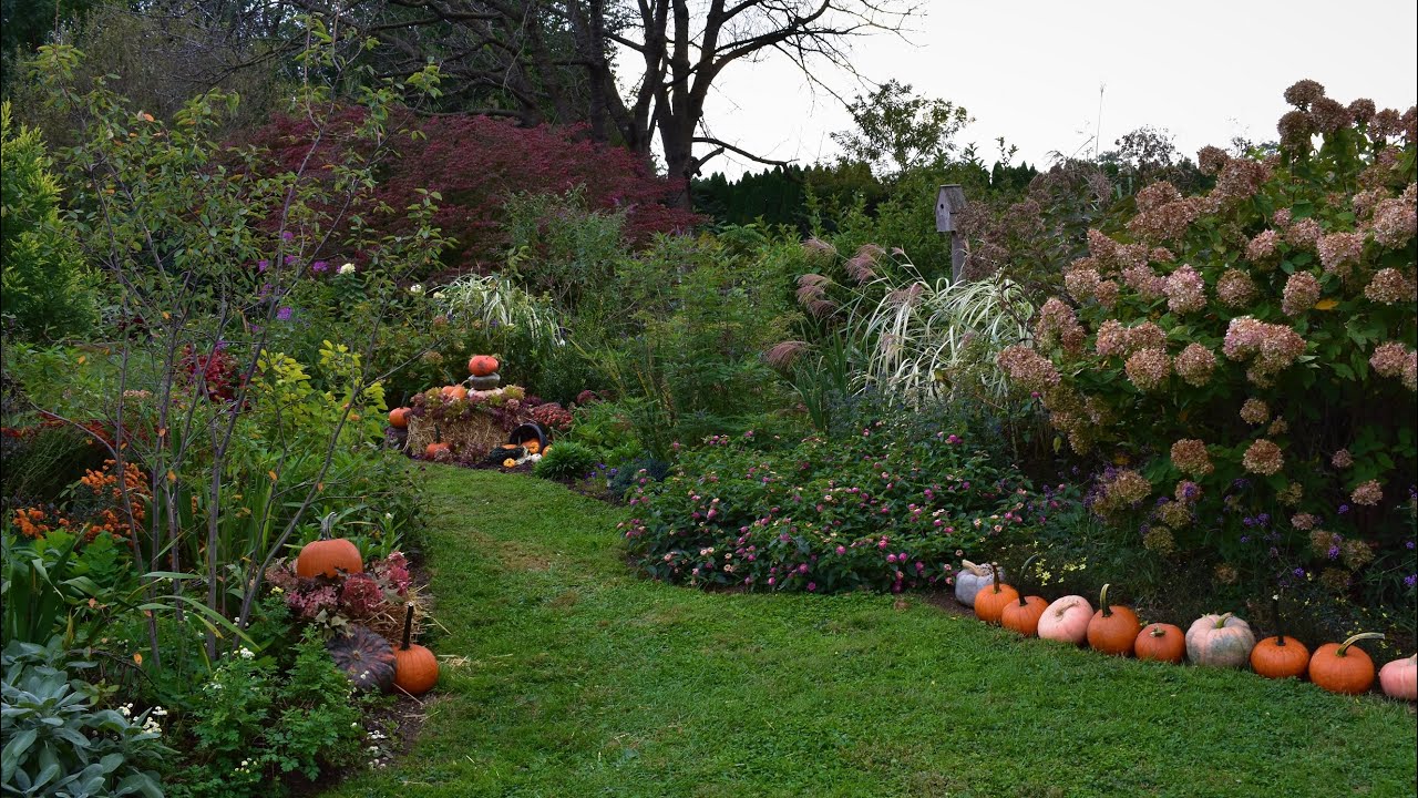 Decorating the Garden for Fall 🍂🍁🎃 // Northlawn Flower Farm - YouTube