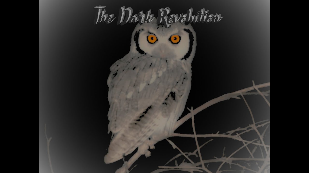 The Dark Revolution - YouTube