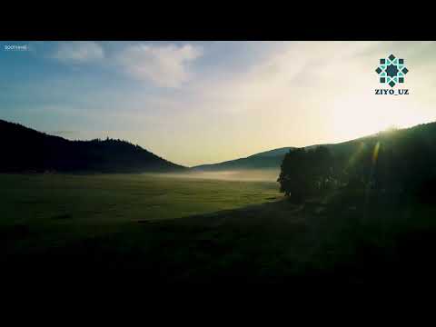 Hasanxon qori Abdulmajid  | Baqara surasi