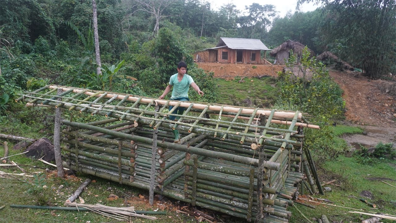 How To make a bamboo roof frame for pig house - Go buy a lot of wild ...
