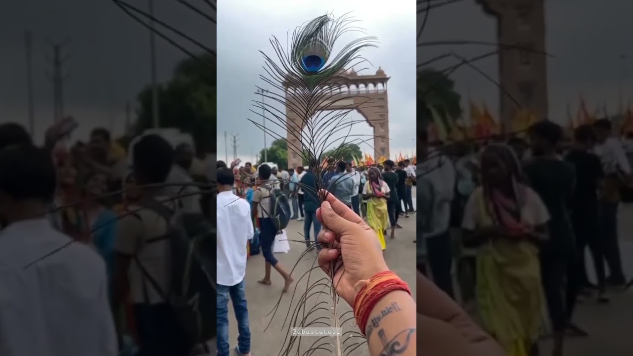 Khatu Shyam Ji Toran Dwar | Shyam Baba Status | babastatus_ | #shorts ...