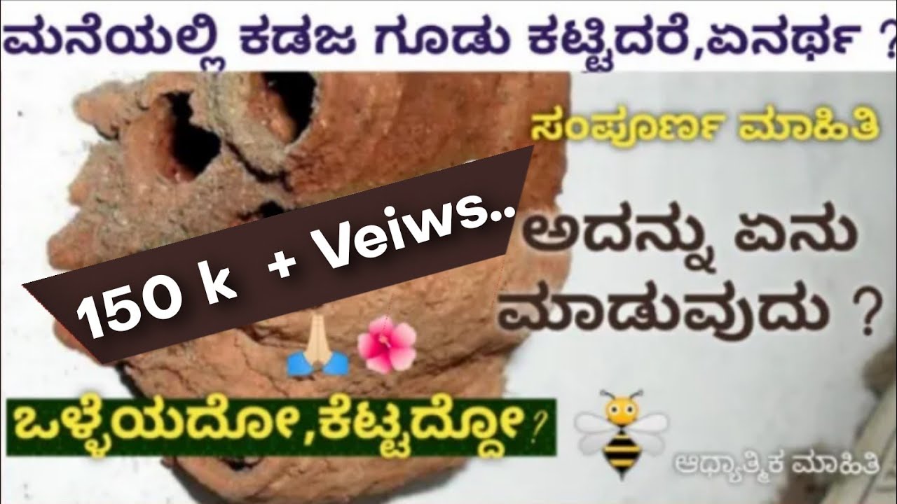 ಮನೆಯಲ್ಲಿ ಕಡಜ ಗೂಡು ಕಟ್ಟಿದರೆ ಏನರ್ಥ ? || Kadaja goodu kattidare enu phala ...