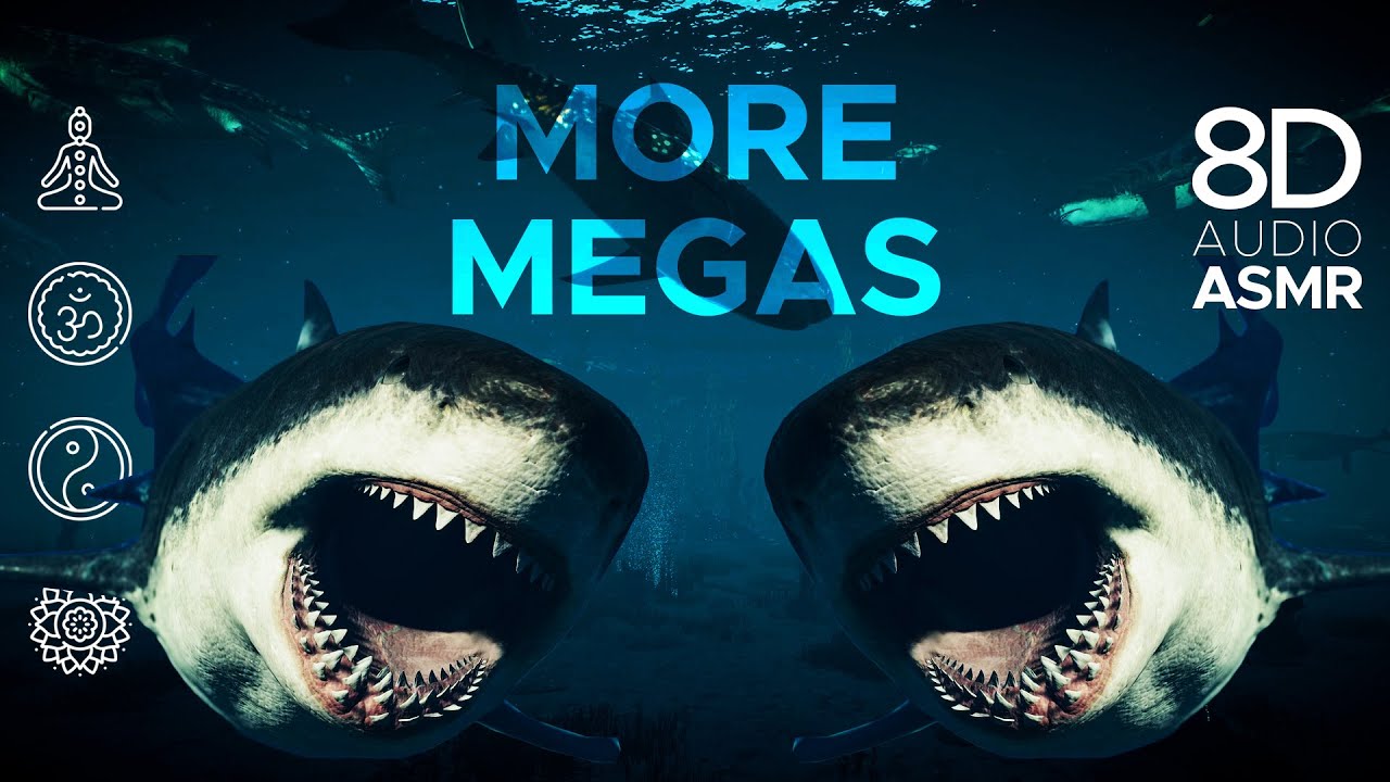 Relax underwater with Megalodons and prehistoric ASMR sounds - YouTube