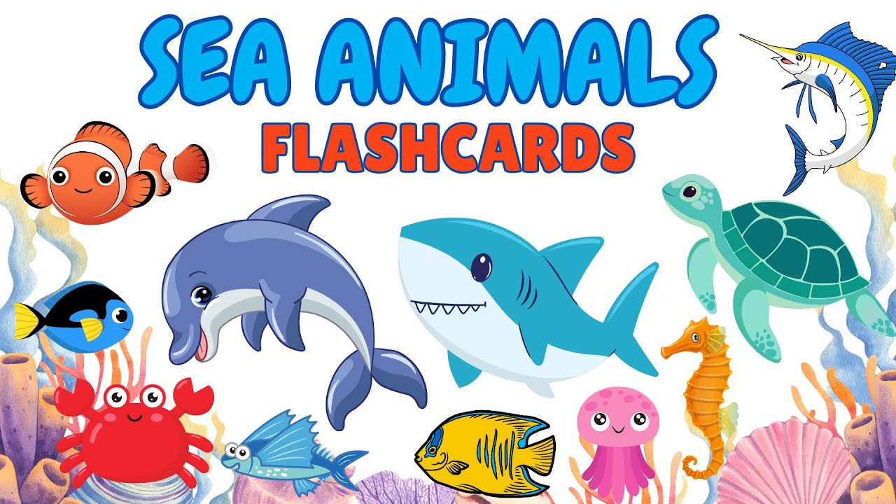 Sea Animal Flashcards for Toddlers & Kids | Easy Sea Animal Learning ...