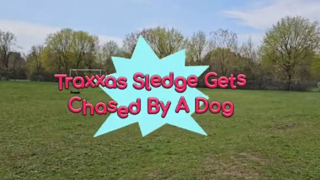 Traxxas Sledge Gets Chasted By A Dog👿 - YouTube