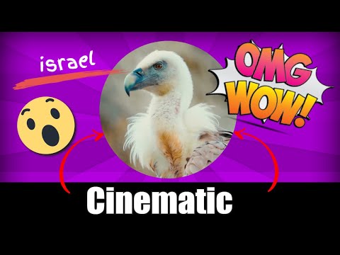 İsrail Sinematik Video Klipleri Youtube Video Sinematik Seyahat Mutlaka İzleyin!