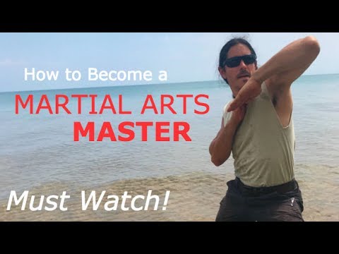 Become a REAL Master of Martial Arts - YouTube