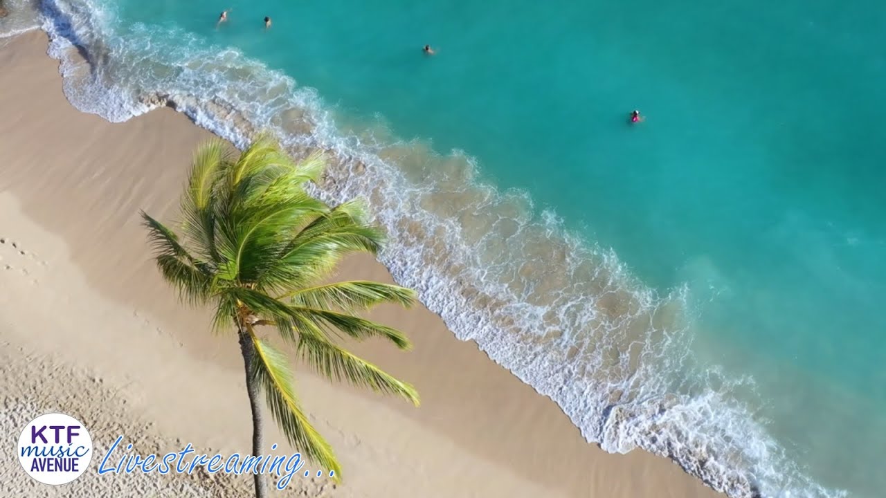 KTF Music Avenue Live Stream #3 | Calm, Chill, Relax & Sleep Music ...