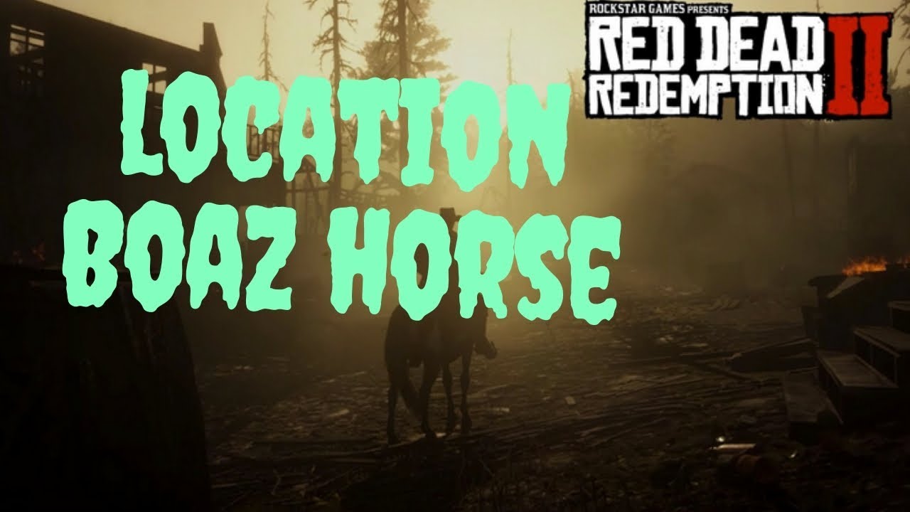 Red Dead Redemption 2 Boaz Horse - YouTube