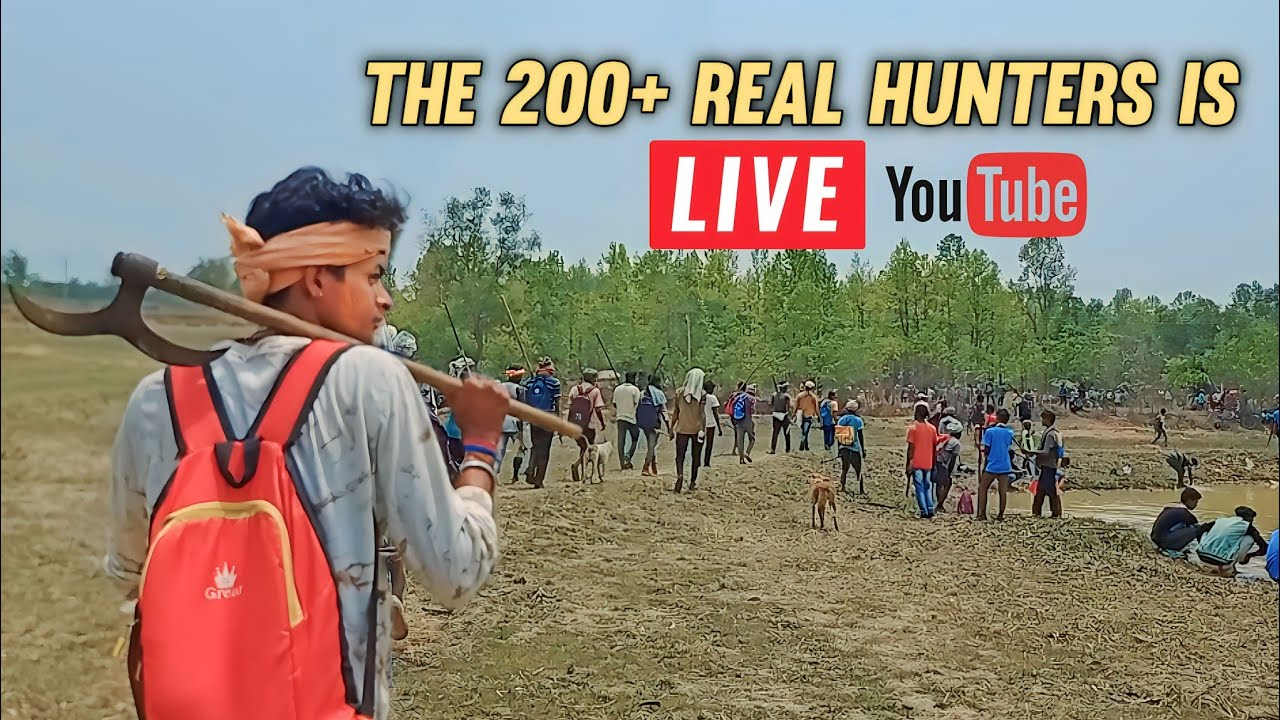 200+ Hunters Are Hunting In The Forest || Live Hunting In The Forest ...