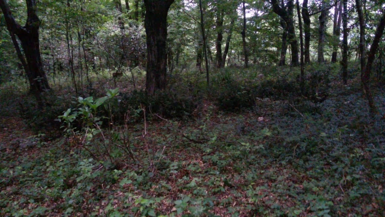 Matteo Varano VS Matteo Biancucci - YouTube