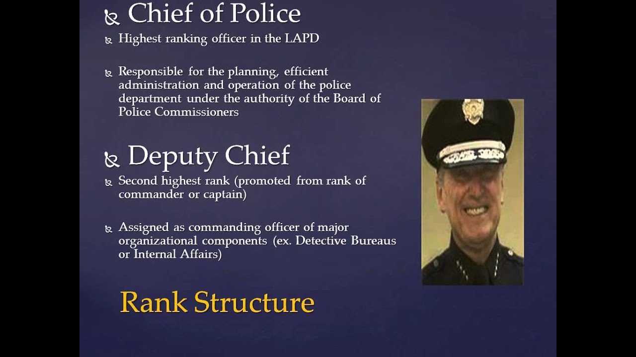 lapd group presentation pt 2 - YouTube