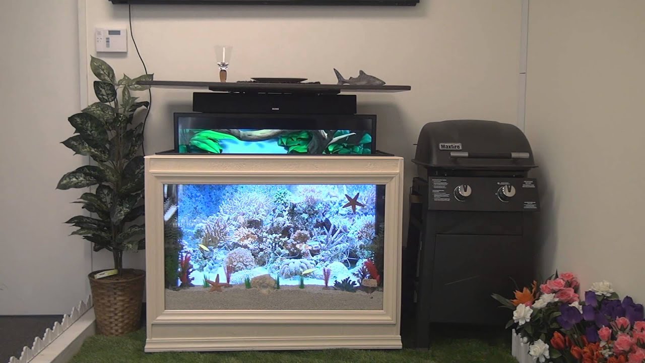 Mirage Vision Outdoor/Indoor Aquarium TV Lift Entertainment System ...