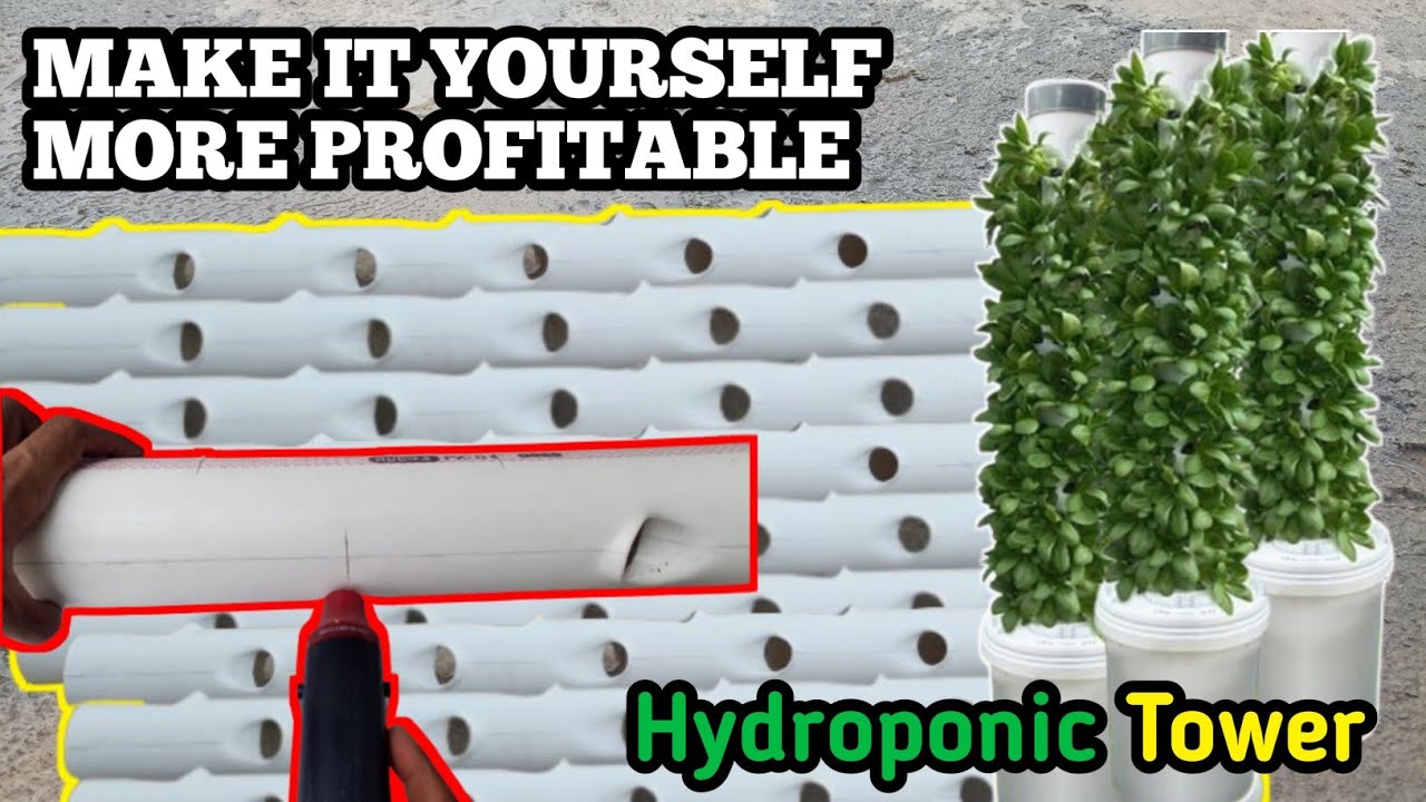 Cara Membuat Tempat Menanam Hidroponik Dari Pipa Paralon PVC - YouTube